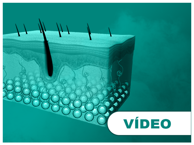 Therapeutic Areas - MSD Brazil